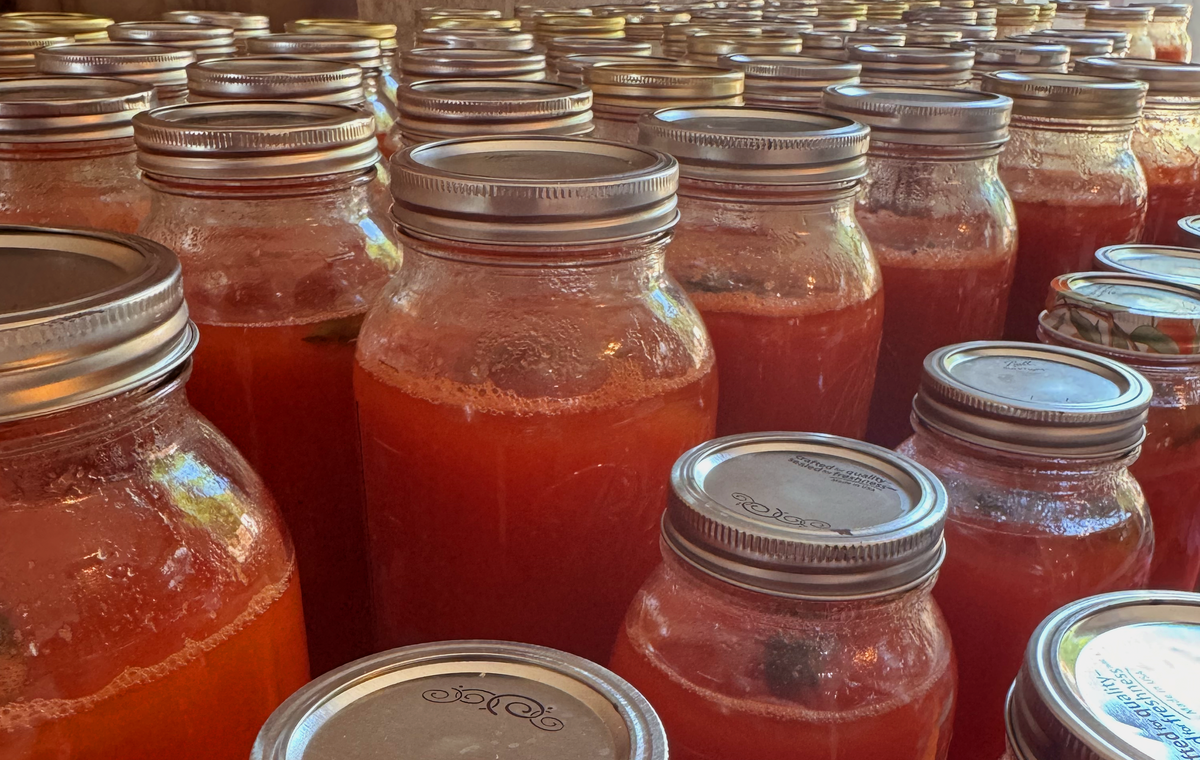 Celebrate Sauce Day